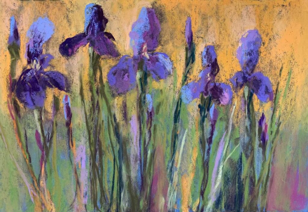 2022 VPS Members Exhibition - The Awards - Vermont Pastel Society